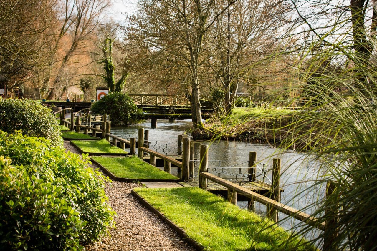 Latest - Bibury Trout Farm